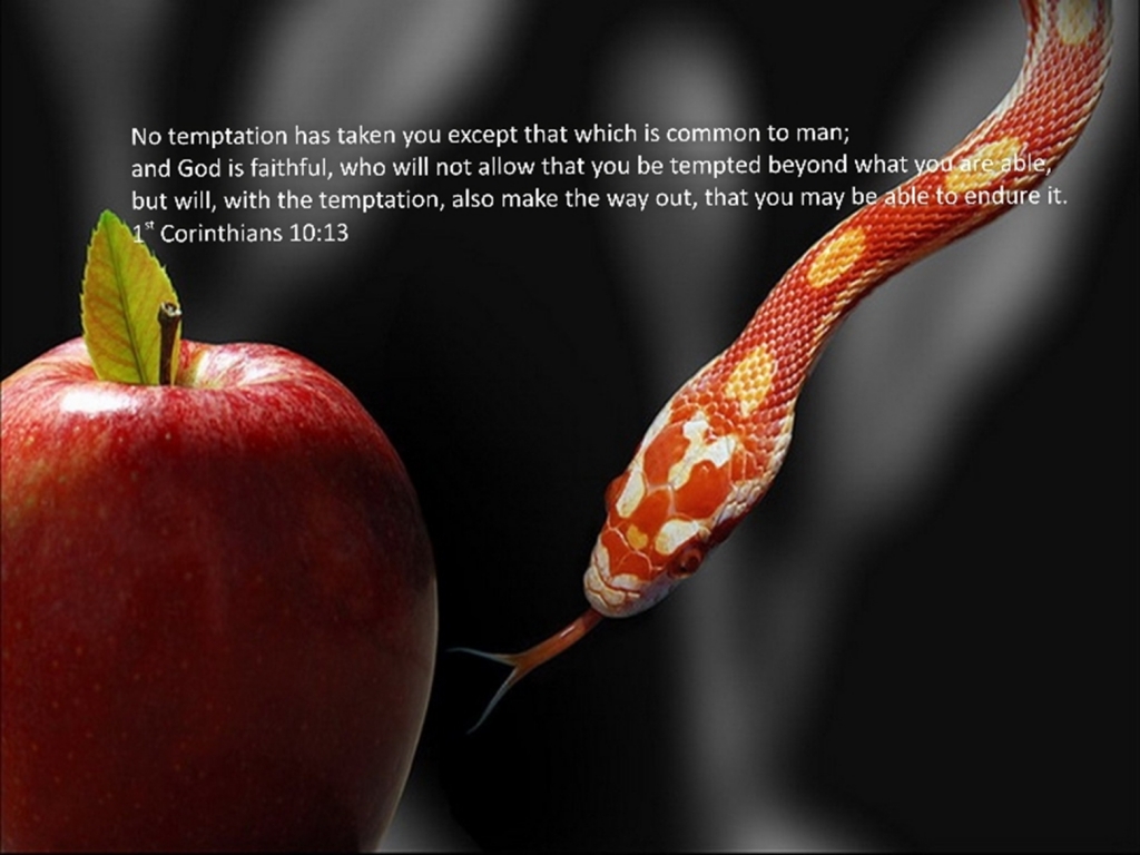 Scripture Sabbath Challenge—1 Corinthians 10:13 – Darkened Glass ...