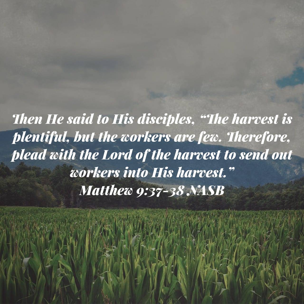The Words of Christ—Matthew 9:37-38 – Darkened Glass Reflections